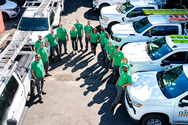 About Our Company | Clancy Brothers Pest Control