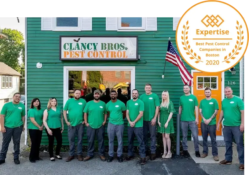 Pest Control Boston | Boston Exterminator | Clancy Brothers Pest Control