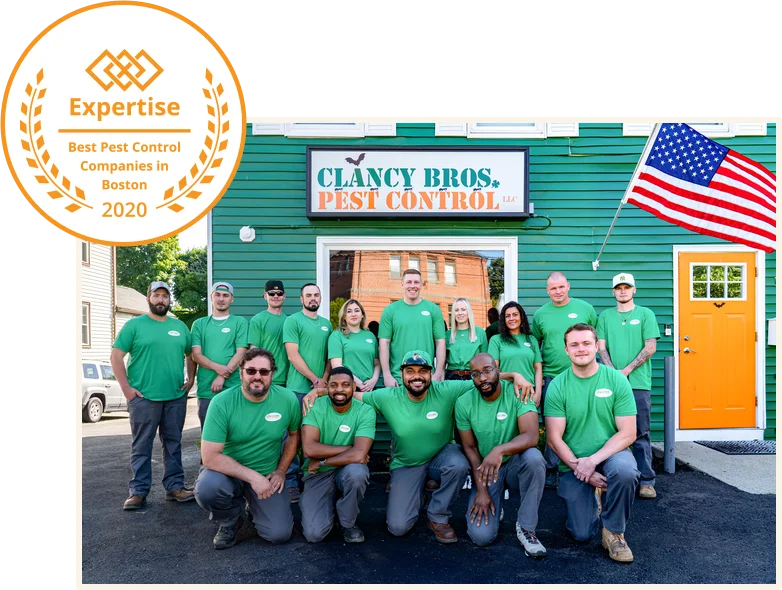 Pest Control Boston | Boston Exterminator | Clancy Brothers Pest ...